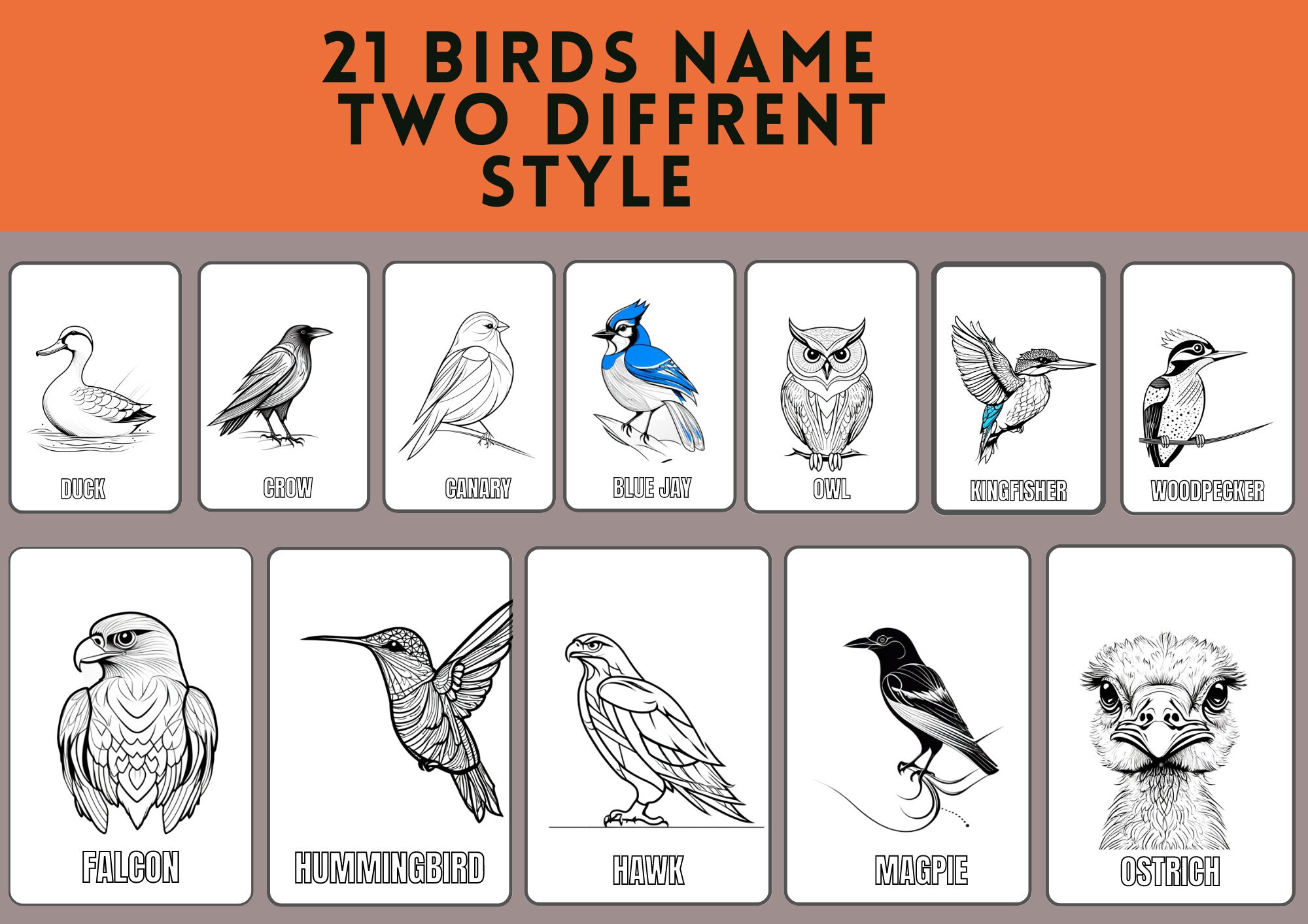 Set of 21 Montessori Birds Flash Card Collection Editable PDF - Etsy
