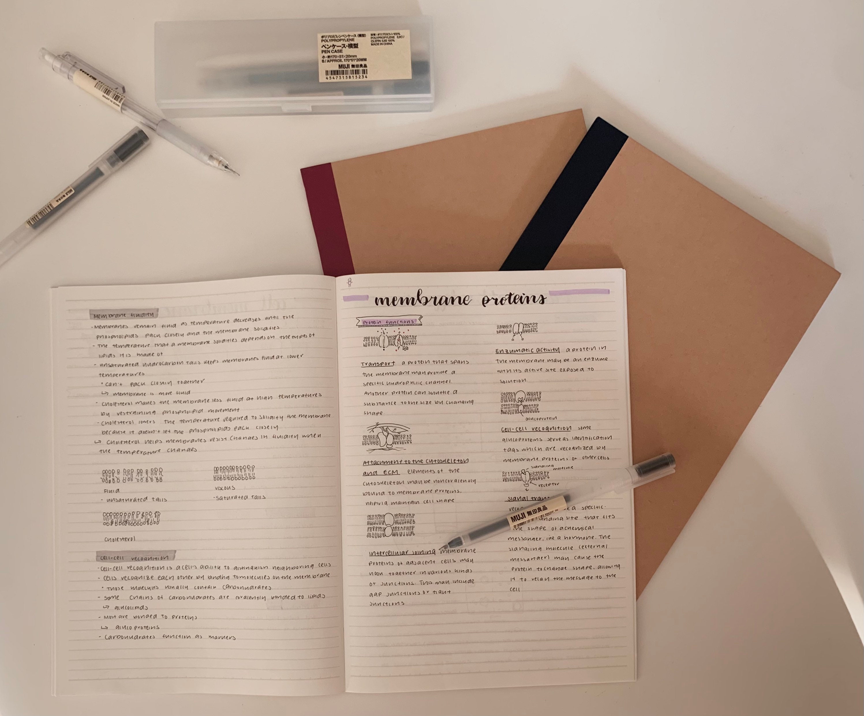 Muji Ruled B5 Notebook - Etsy