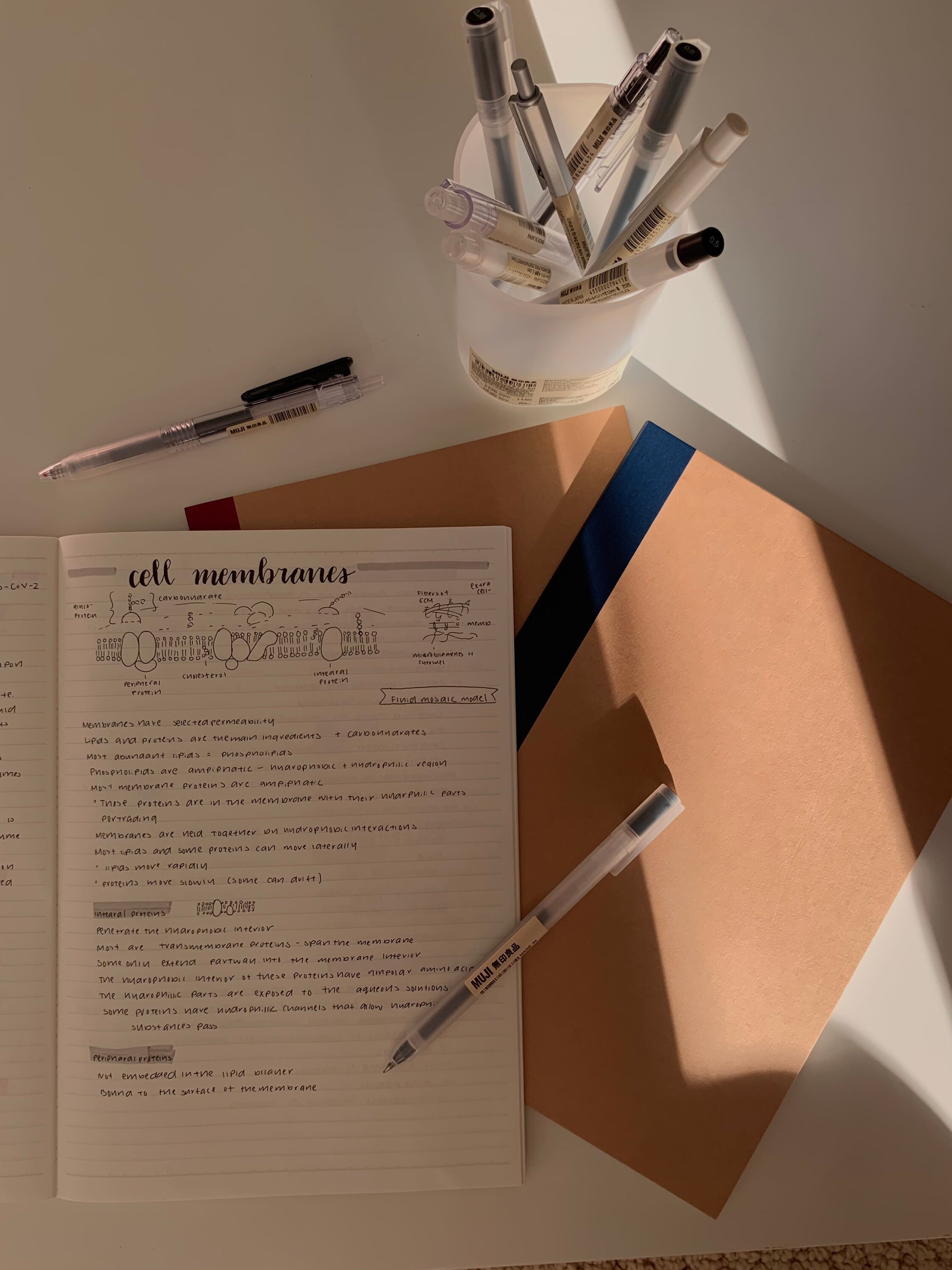 Muji Ruled B5 Notebook - Etsy