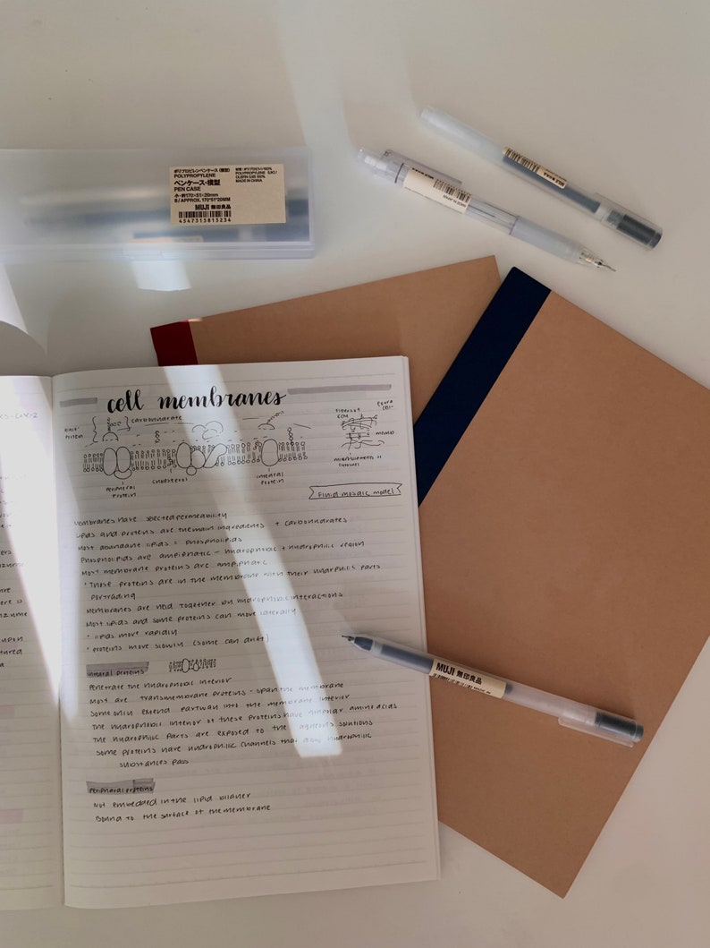 Muji Ruled B5 Notebook - Etsy