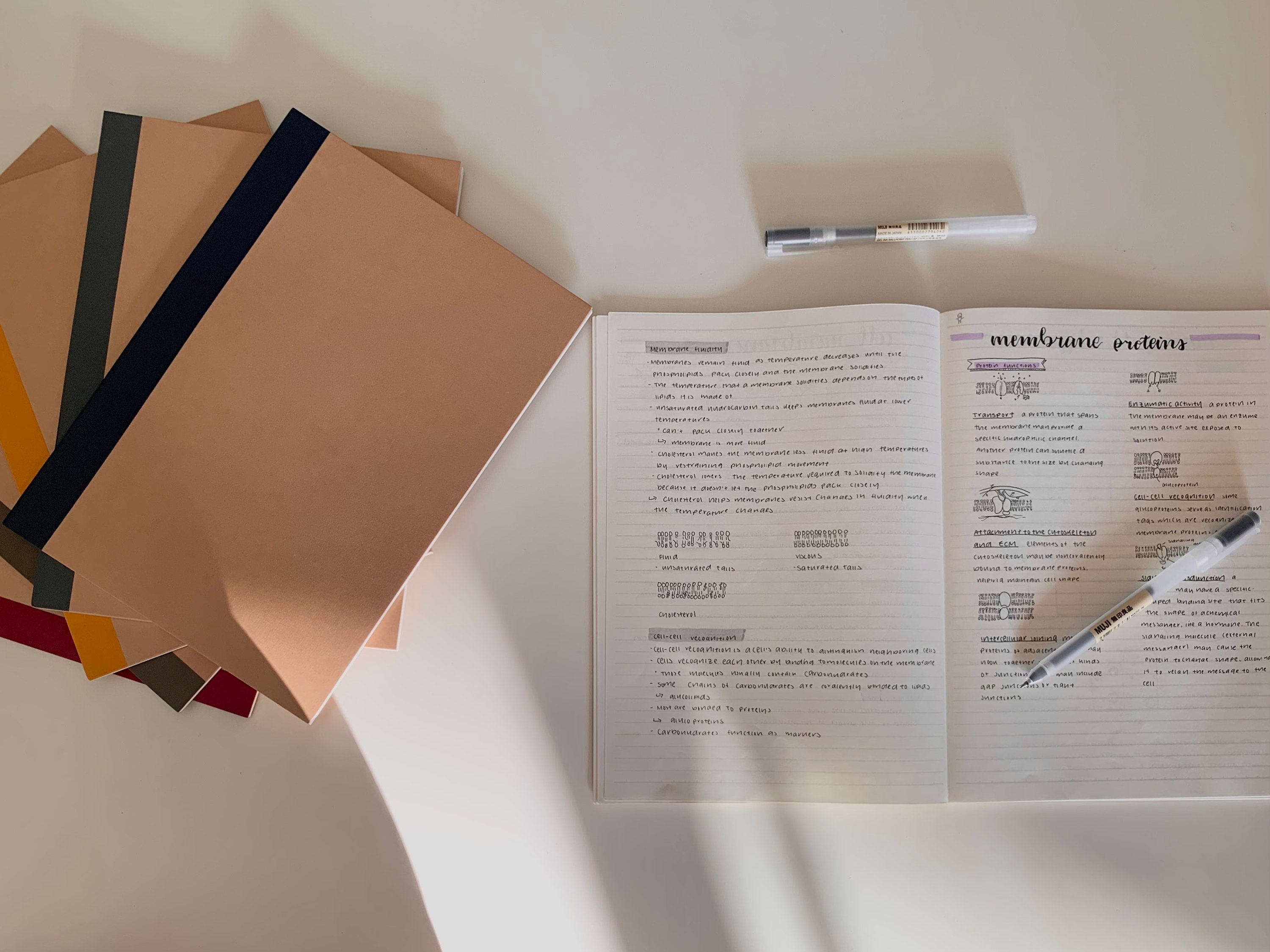 Muji Ruled B5 Notebook - Etsy