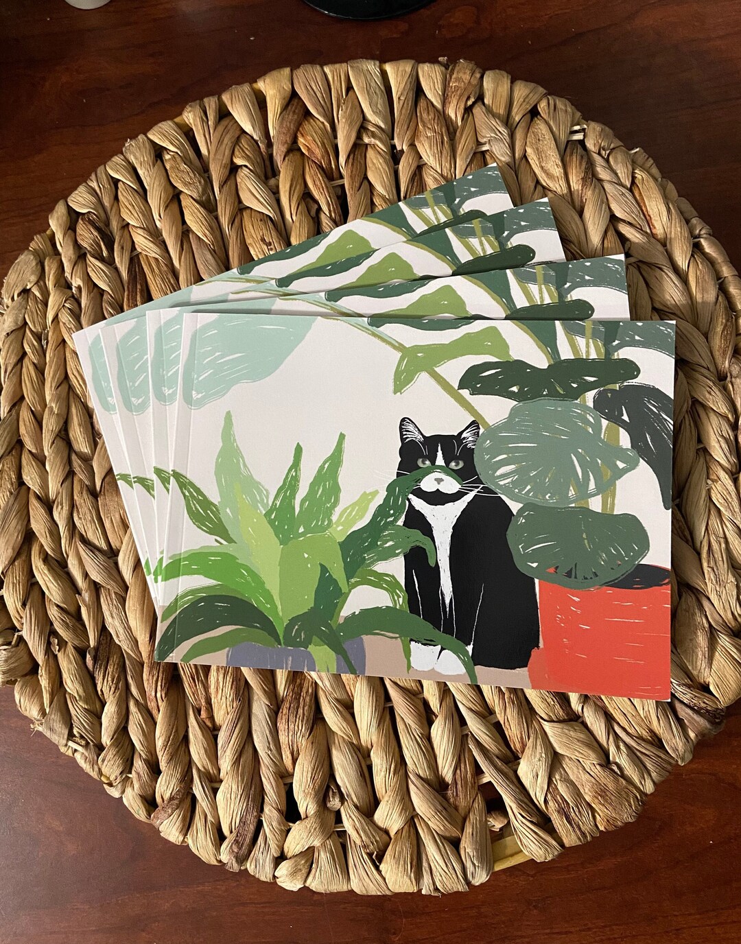 Cat Art Book, Softcover 5x7 Photo Book, Tuxedo Cat, Black Cat Art ...