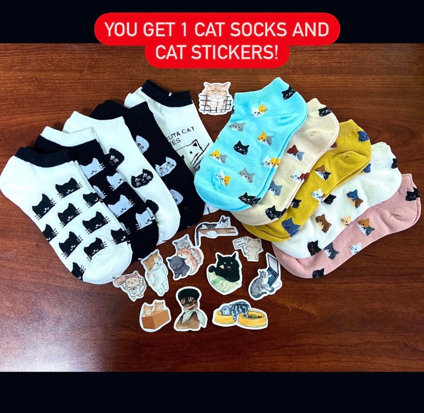 CAT GIFT BOX Medium Cat Lovers Gift Cat Mystery Box Cat | Etsy