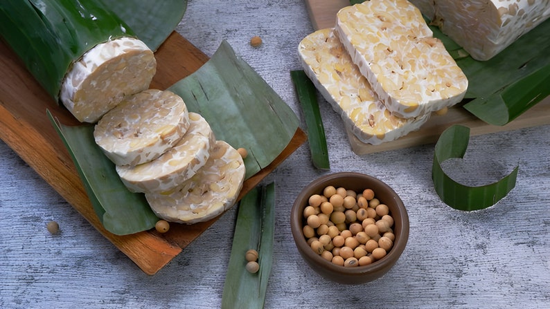 Organic Tempeh Starter Kit: Homemade Tempeh Instructions, Starter ...