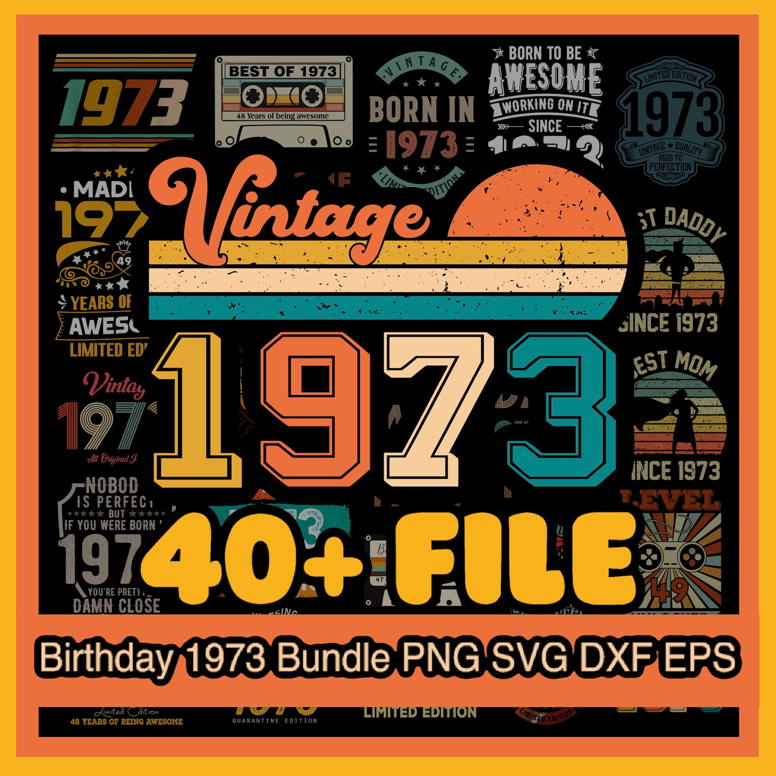 1973 Vintage Bundle Svg, Pro 1973 Roe, Birthday Shirt Svg, Womens ...