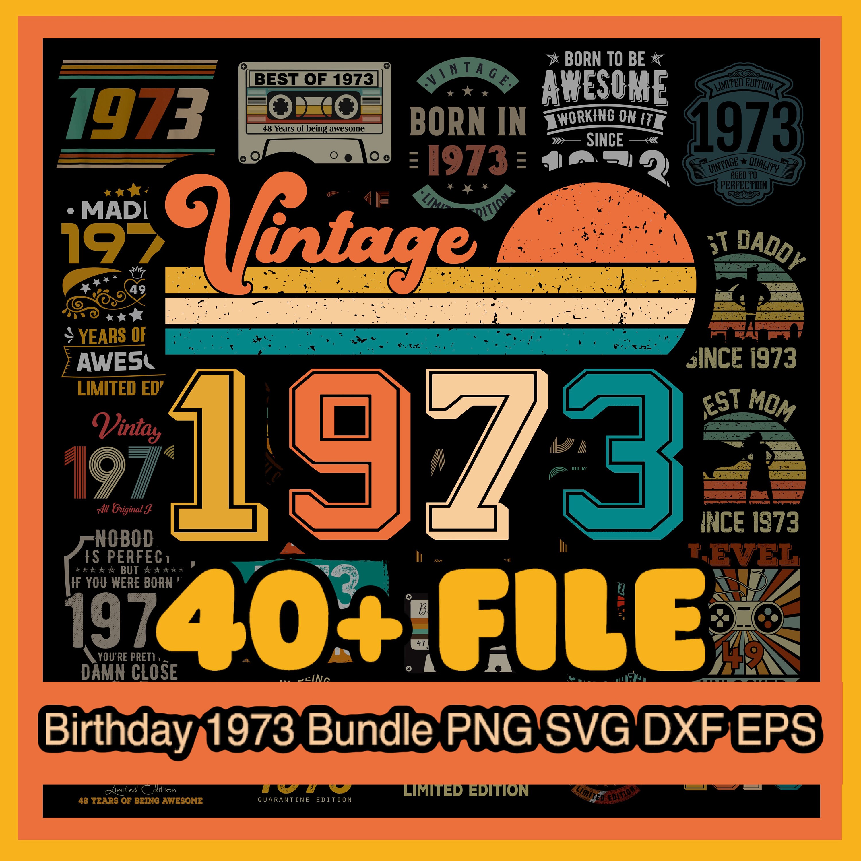 1973 Vintage Bundle Svg, Pro 1973 Roe, Birthday Shirt Svg, Womens ...
