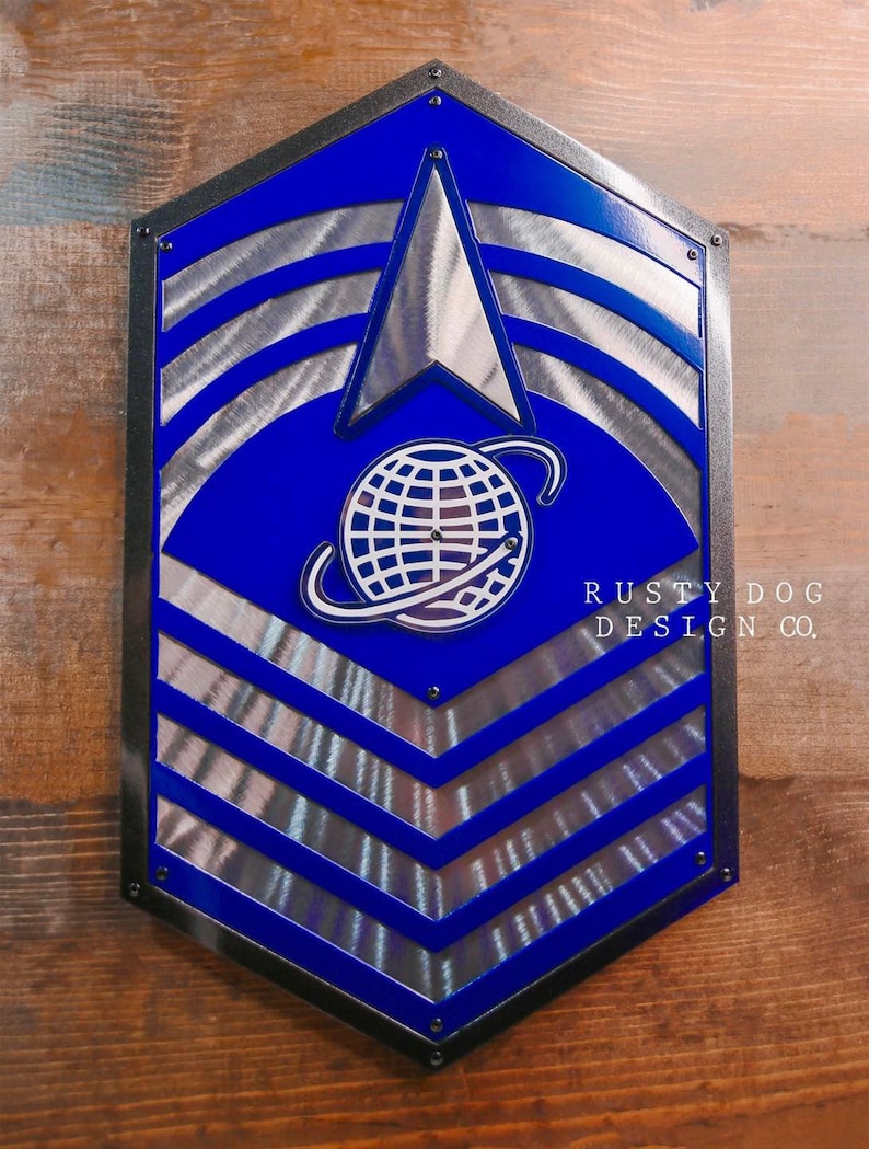 Space Force Rank | Etsy