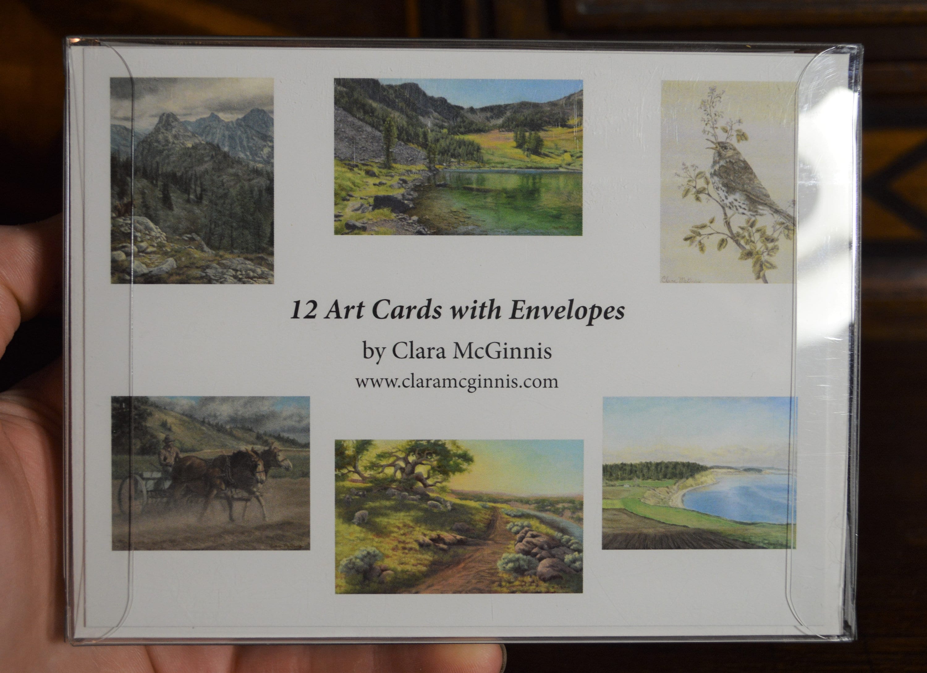 Notecard Box Set, 12 Art Card Box Set, Greeting Cards, Christmas ...