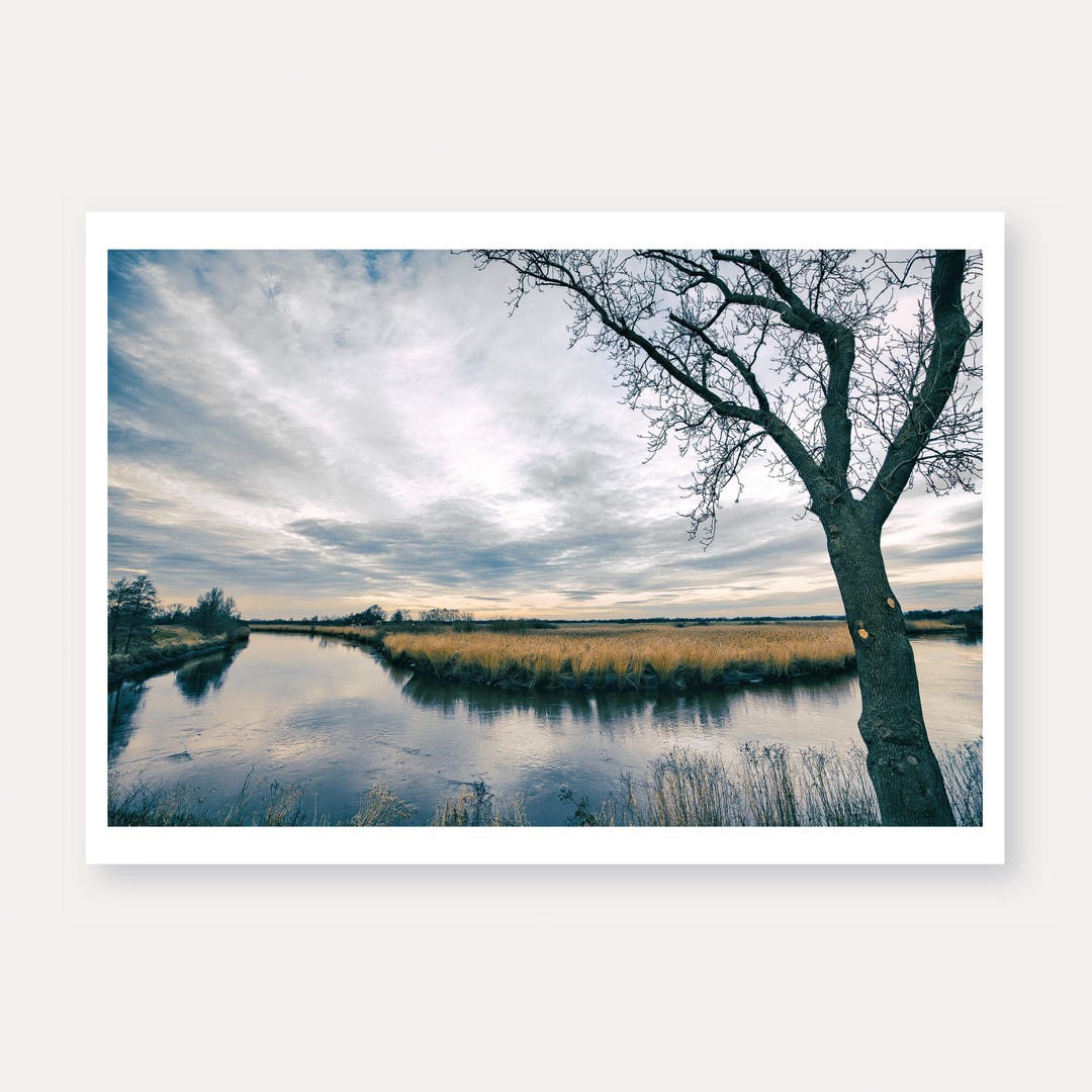 North German Landscape, Photography, Postcard, Bremen, Worpswede ...