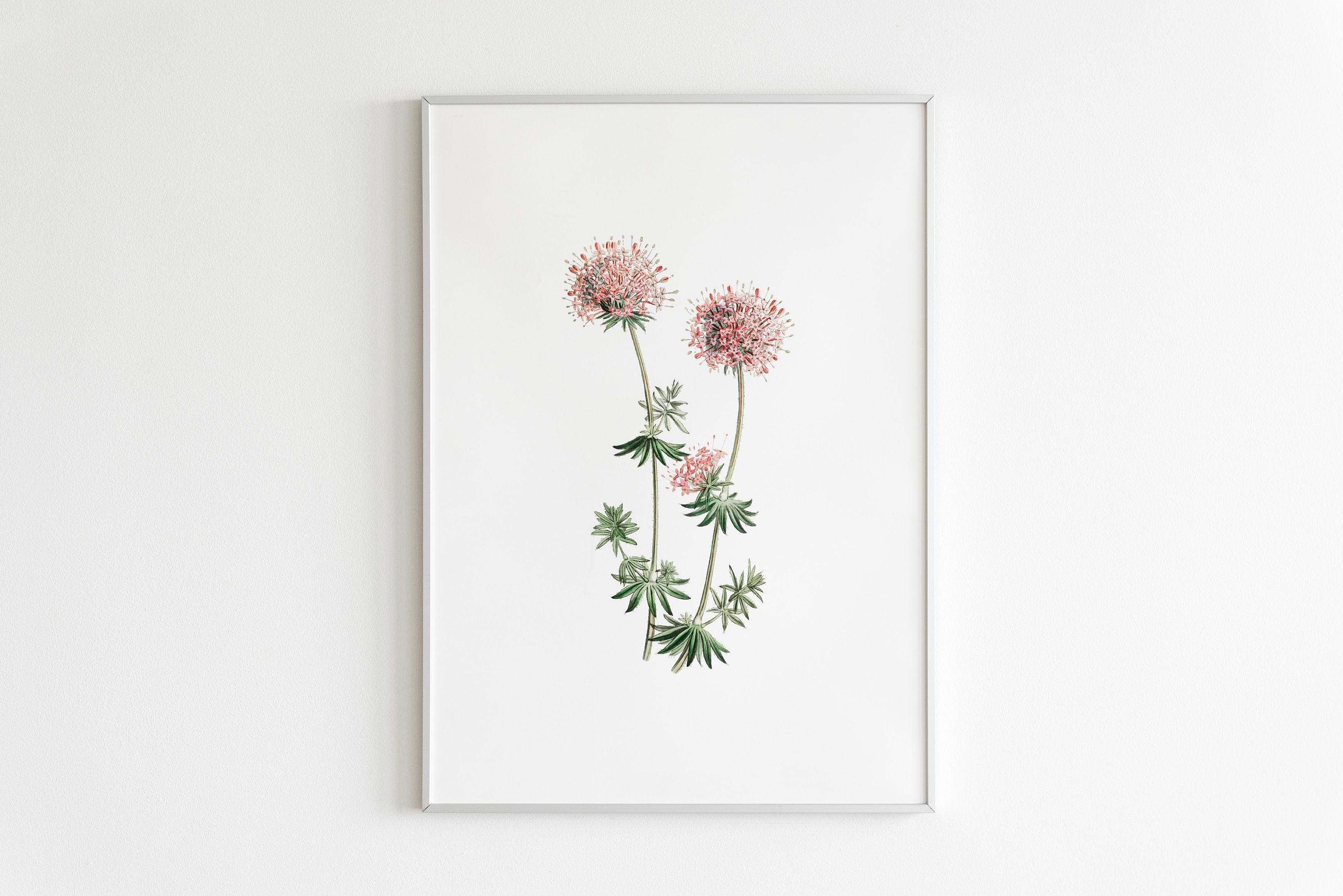 Pink Floral Prints, Set of 3, Flower Prints, Rose Print, Botanical Wall ...