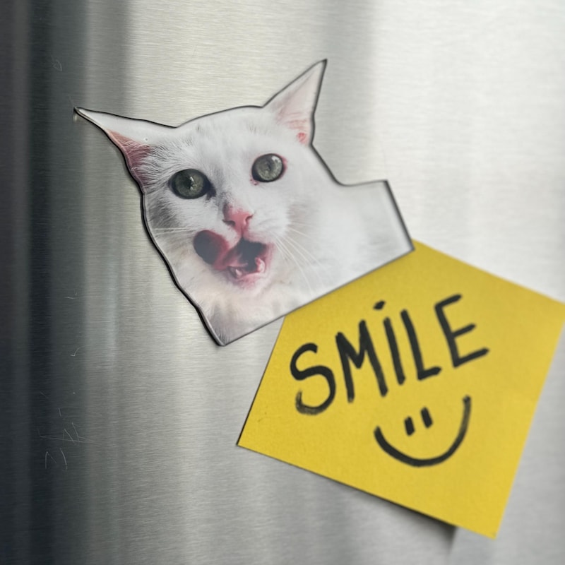 Acrylic Magnet - Etsy