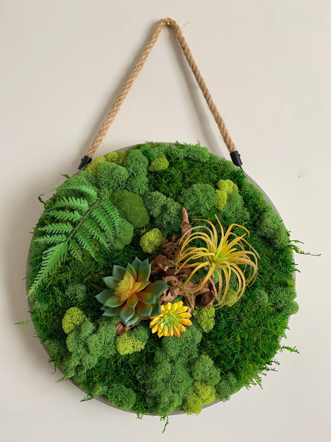 Round Moss Art-with Wood, Succulents & Air Plant - Etsy