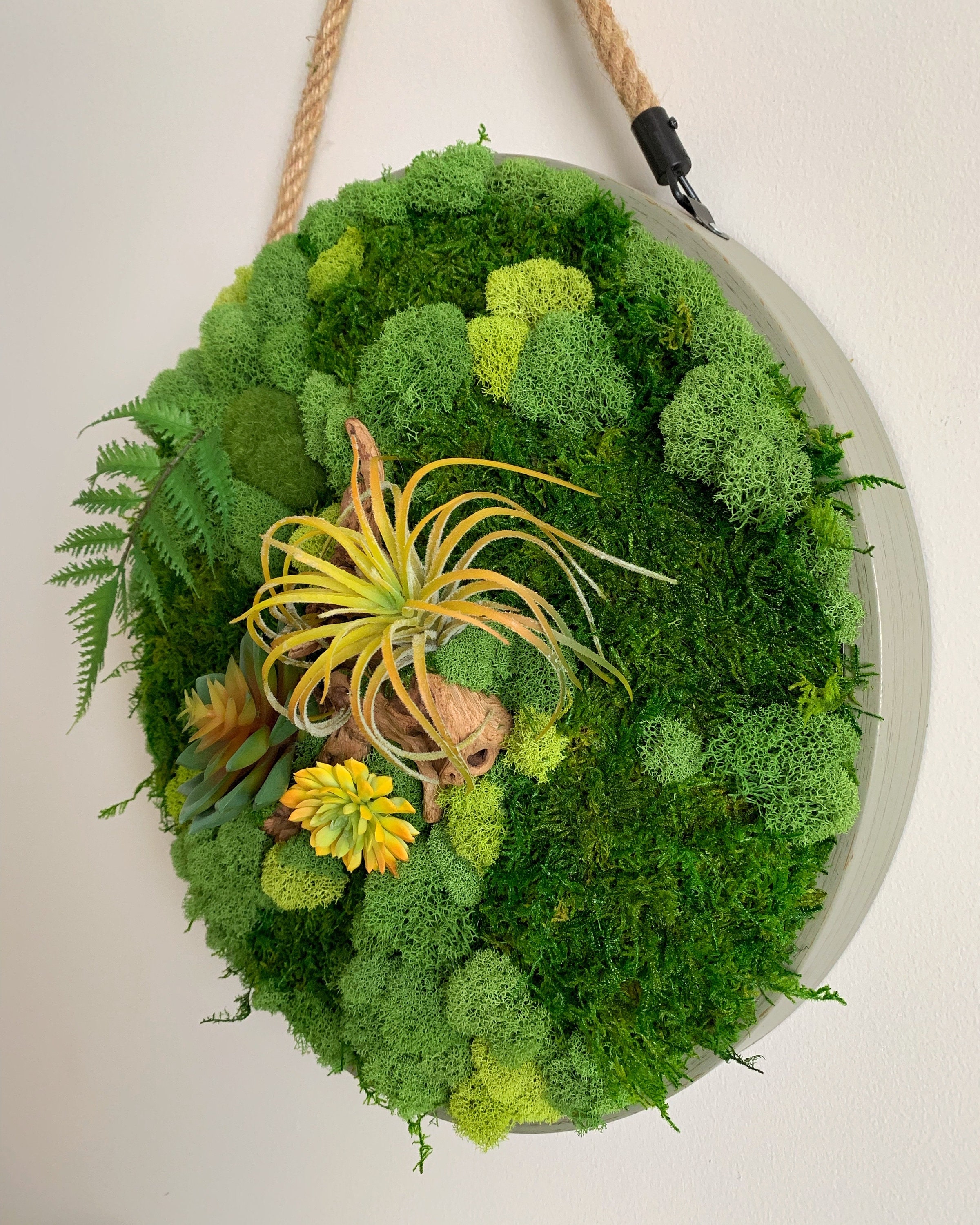 Round Moss Art-with Wood, Succulents & Air Plant - Etsy