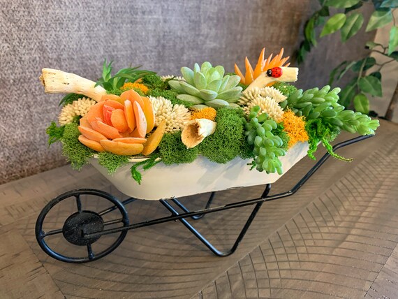 Wheelbarrow Moss Arrangement-with Preserved Moss Faux - Etsy