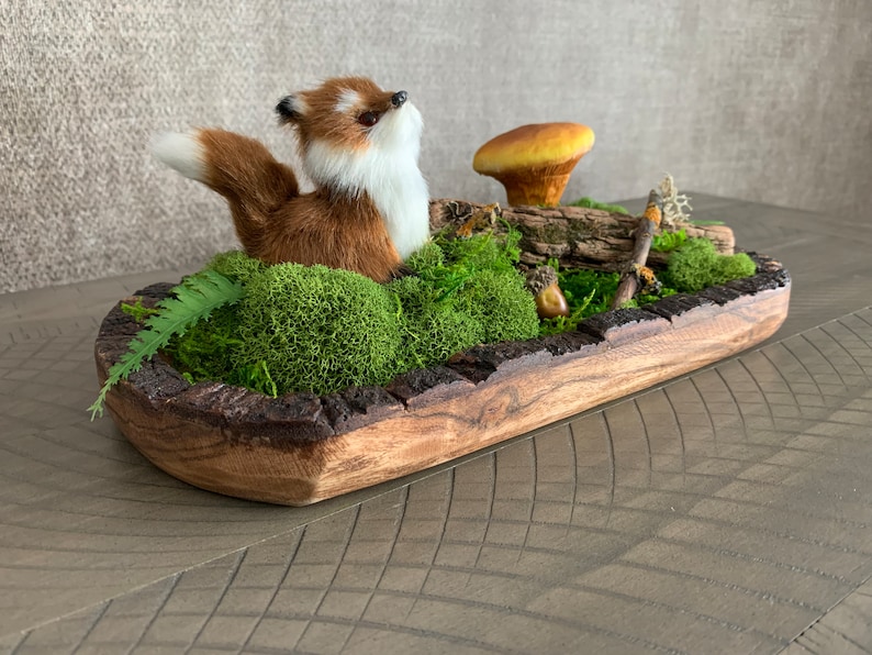 Fox & Mushroom Tray-with Preserved Moss, Tree Bark, and Lichen Branches ...