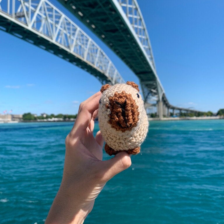 Capybara Stuffed Animal - Etsy