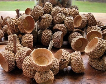 Oakie Acorn Elf Couple Sitting on a Log, Talking. A Figurine That Would ...