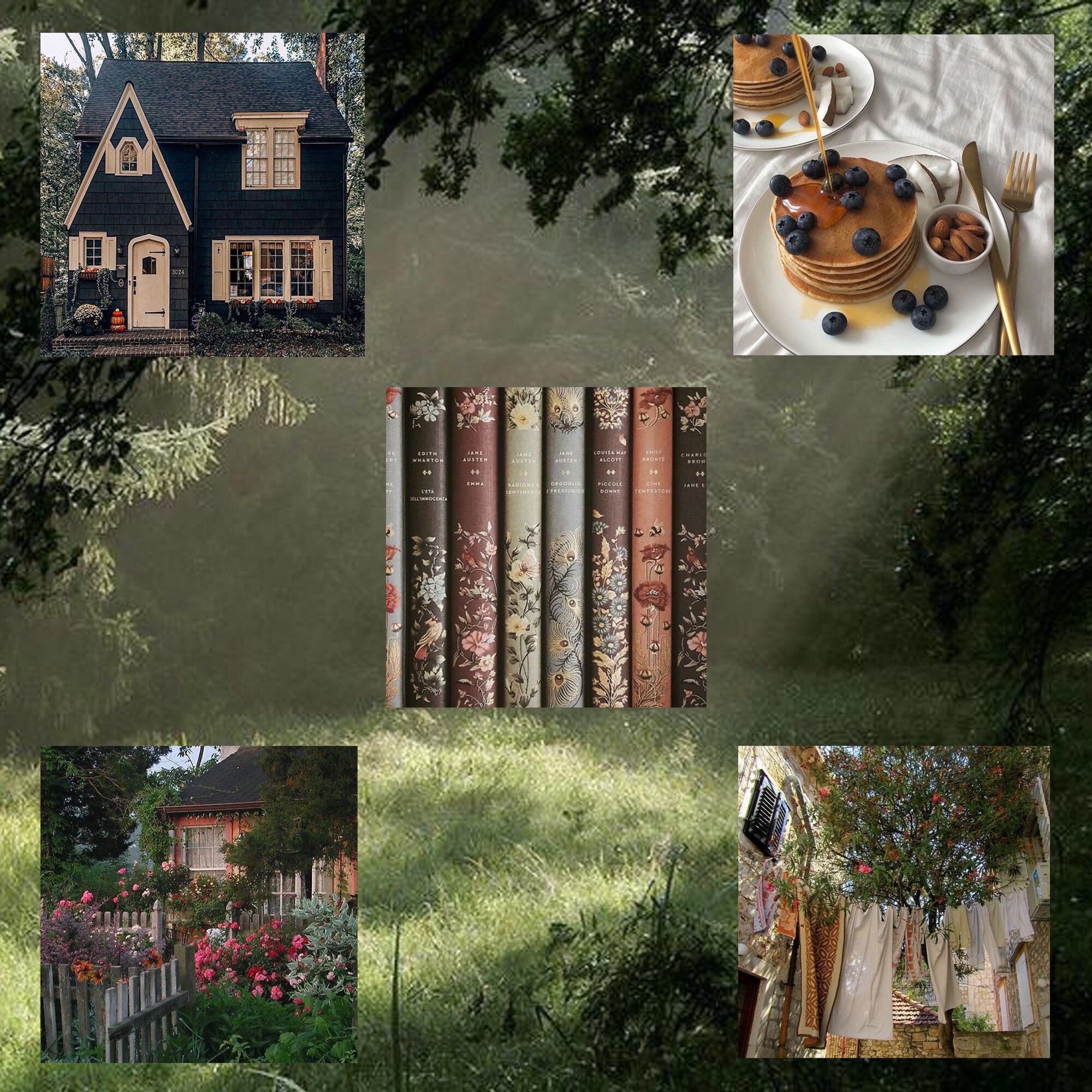 IOS 14 Homescreen Cottage Core Prairie - App Icons, Widgets, Lockscreen ...