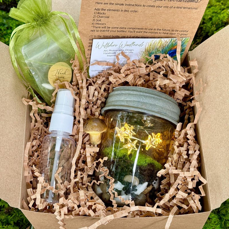 Terrarium Kit - Etsy