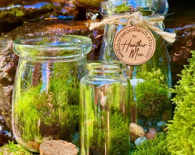 Video Game Terrarium Diorama: Nerdy Anime Decor - Etsy