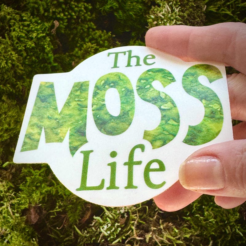 Water Terrarium - Etsy