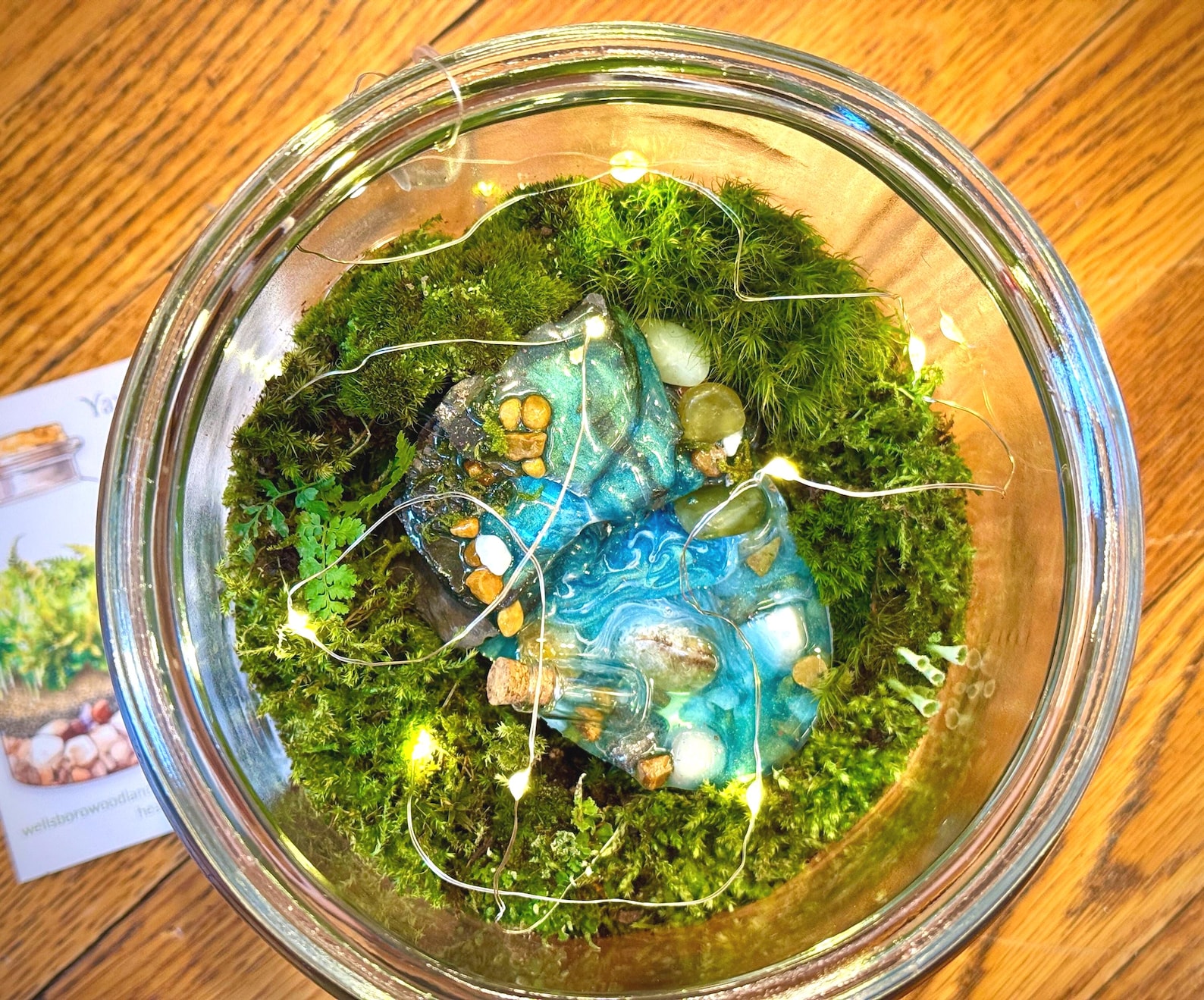 DIY Terrarium Kit + Resin Slate Waterfall, Waterscape Pond, 1/2 Gal ...