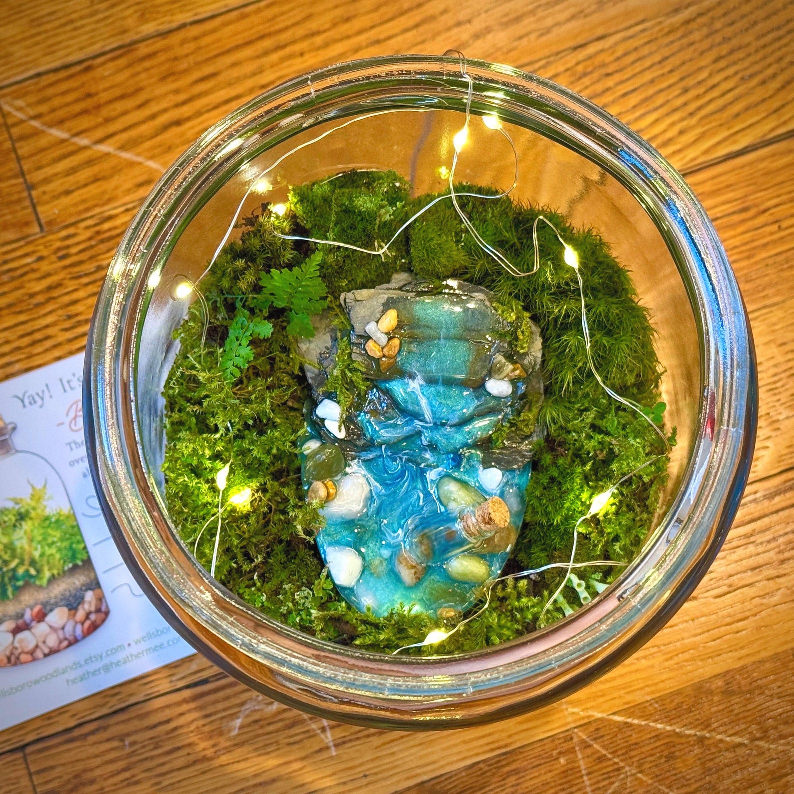DIY Terrarium Kit + Resin Slate Waterfall, Waterscape Pond, 1/2 Gal ...