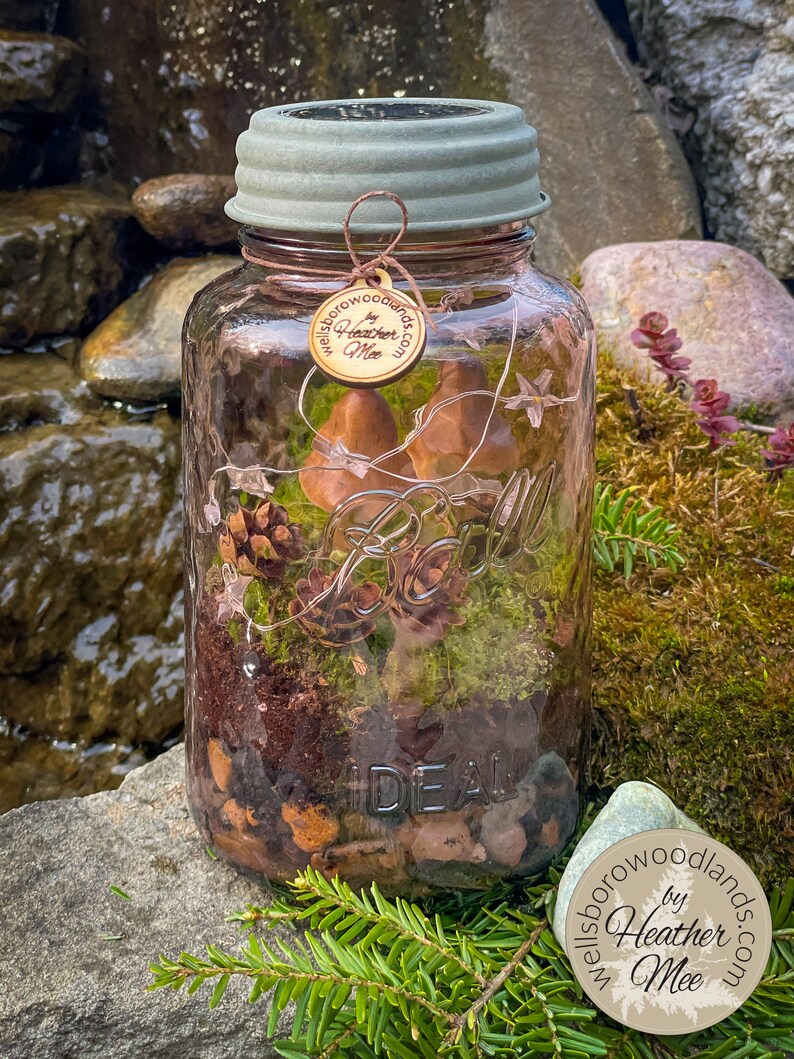 Terrarium Mason Jar, Live Moss, 1 Quart, Solar Lights or Wooden Lid - Etsy