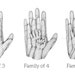 Custom Family Handprint Digital Illustration Family of Five - Etsy Canada