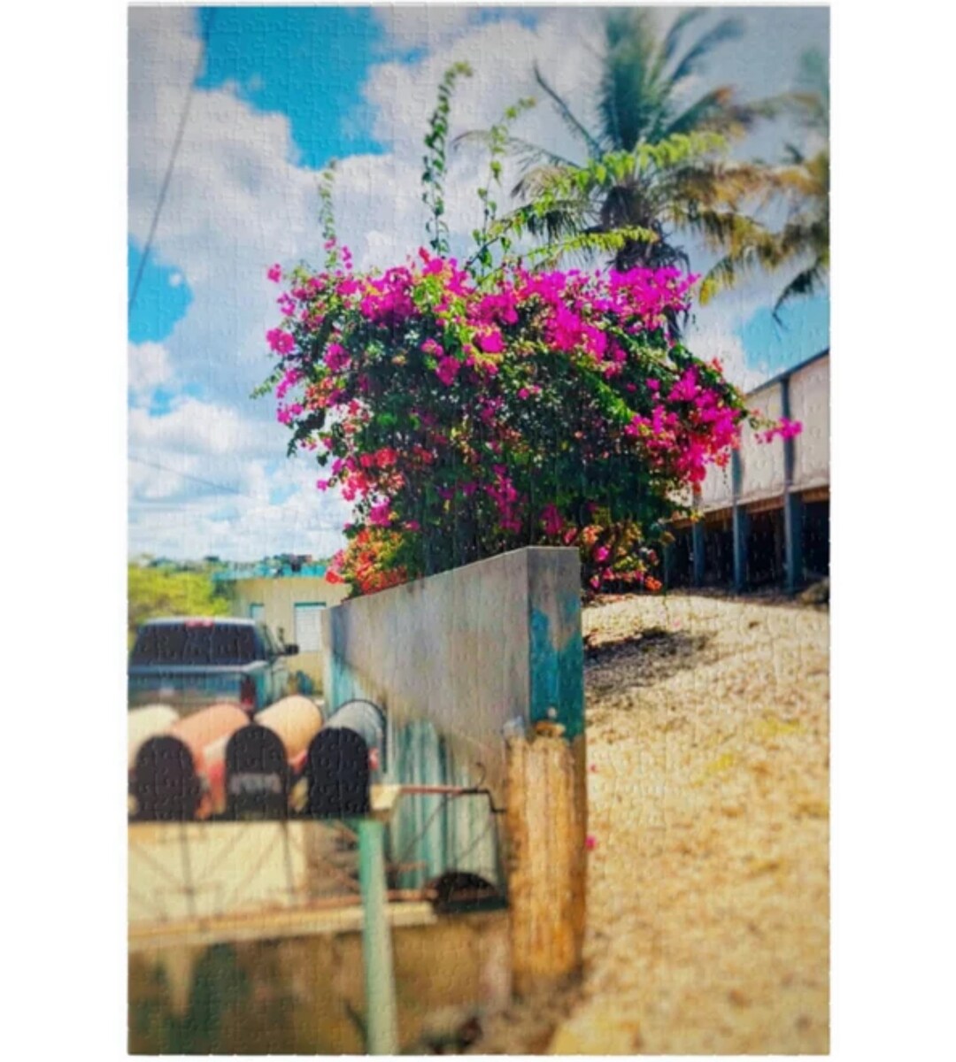 Jigsaw Puzzle for Adults, PUERTO RICO Puzzle, Flower Puzzle, Travel ...