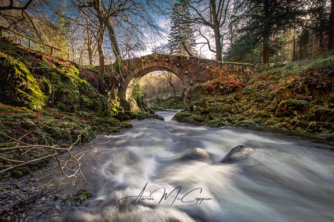Foleys Bridge Tollymore Forest Northern Ireland Print | Etsy