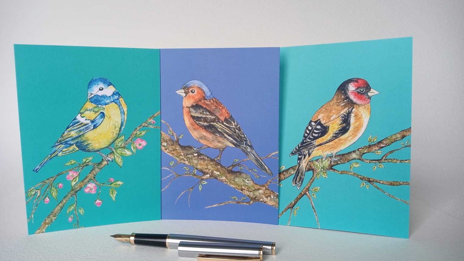 Paper Paper & Party Supplies Set of Mixed Blank Notecards with ...