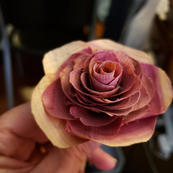 Cedar Rose - Etsy