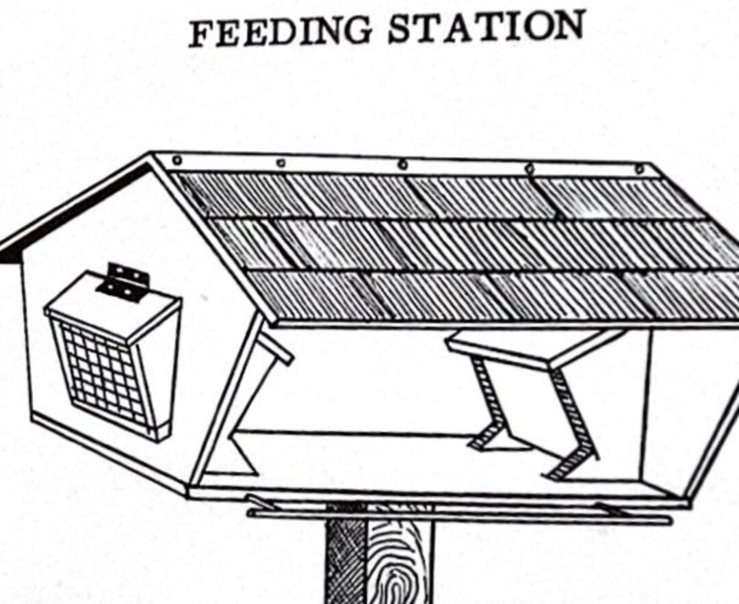 1930s Wood Bird Feeder Plan (download) - Etsy