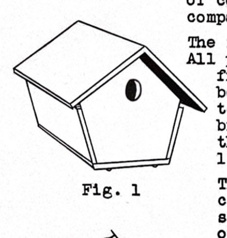 Wren Bird House Plans (download) - Etsy