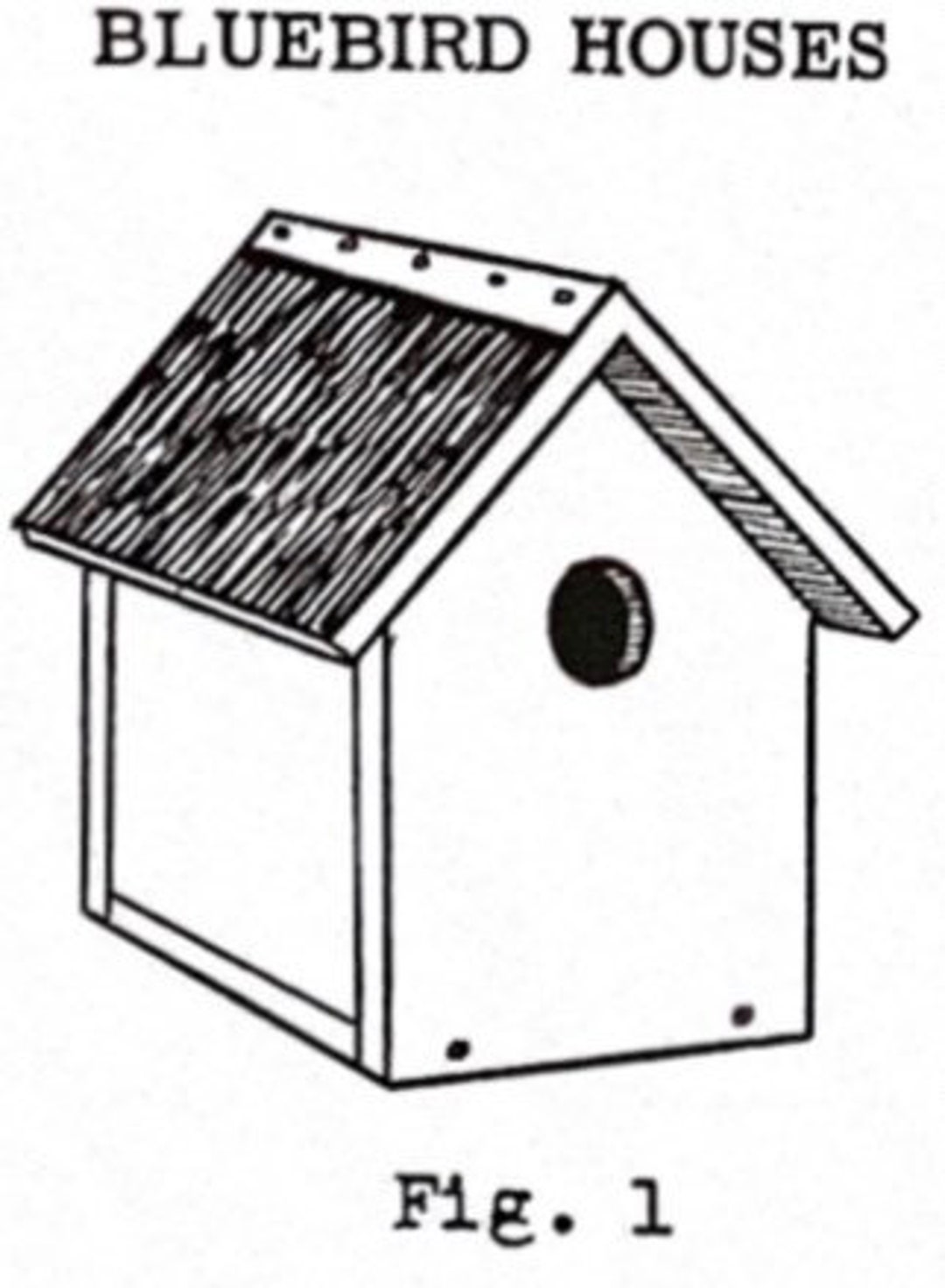 Bluebird House Plans (download) - Etsy