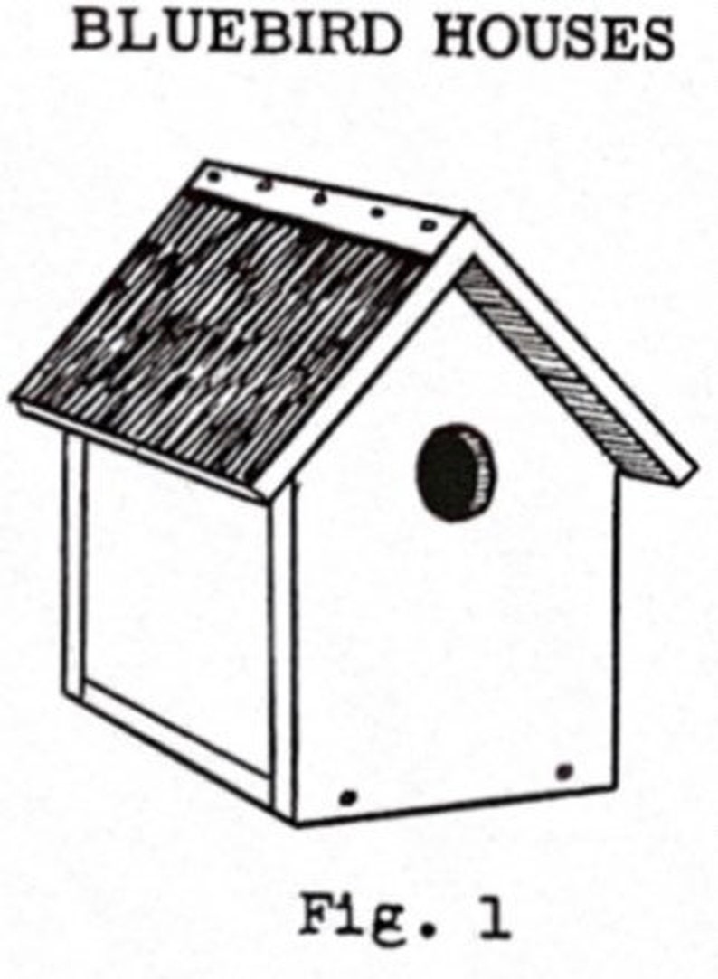 Bluebird House Plans (download) - Etsy