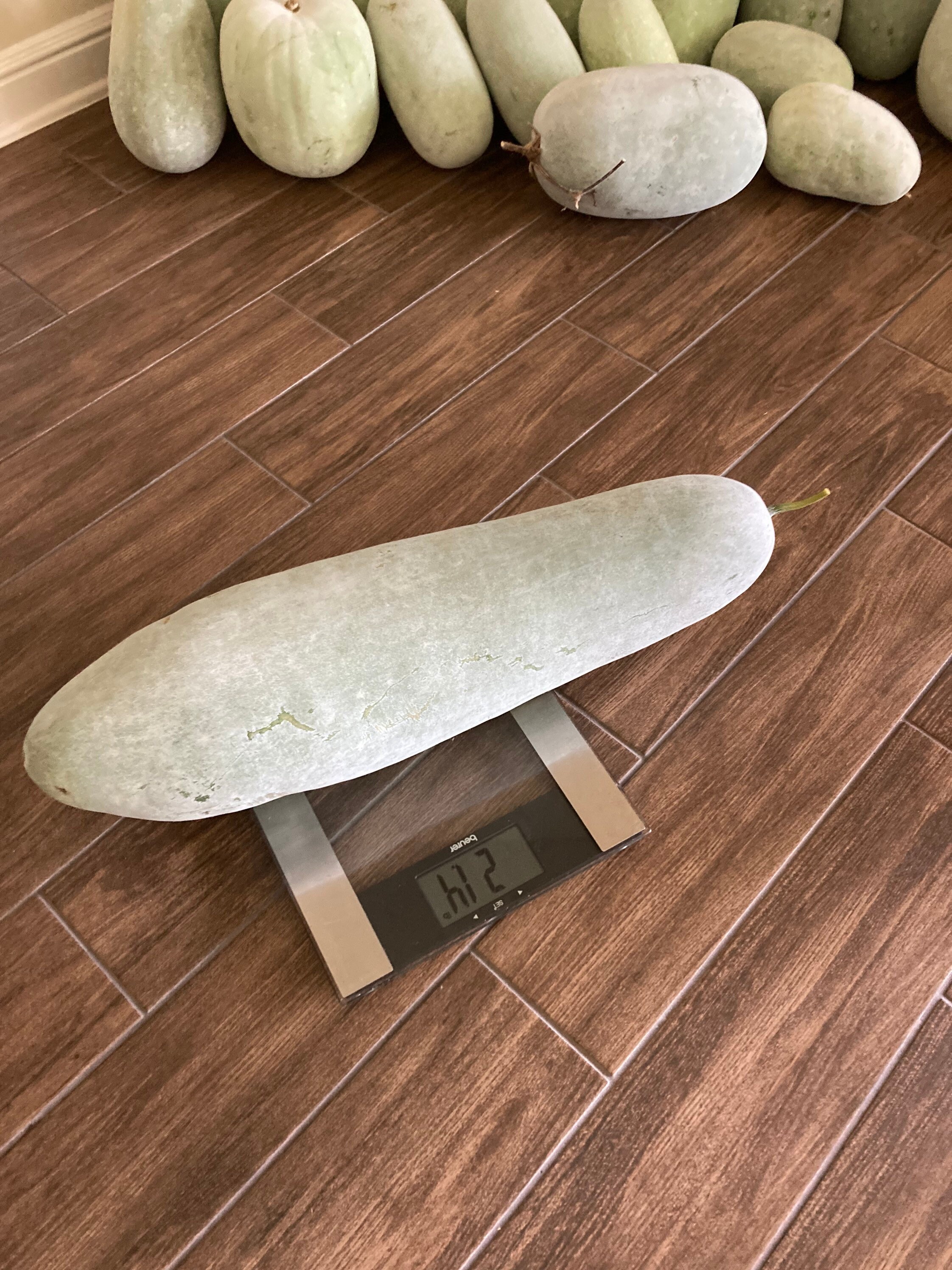 Organic Fuzzy Melon/hairy Melon/ Gourd/fuzzy Squash/hairy - Etsy