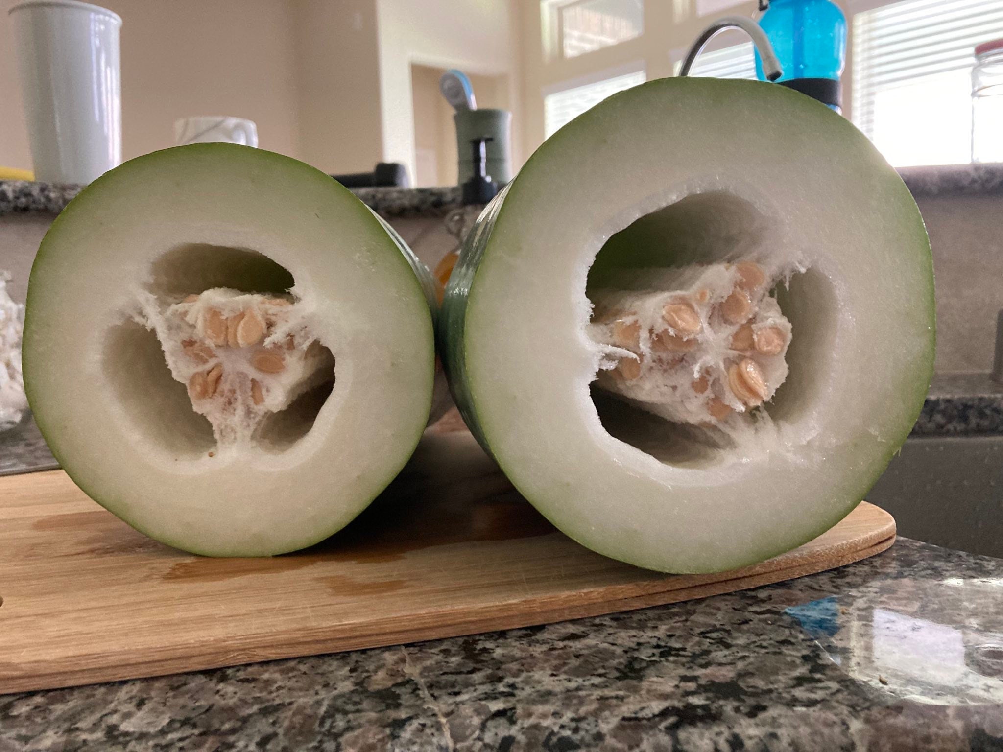 Organic Fuzzy Melon/hairy Melon/ Gourd/fuzzy Squash/hairy - Etsy