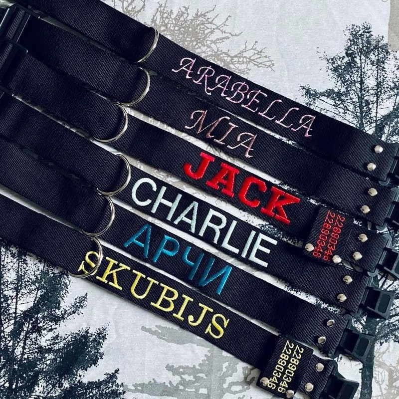 Dog Collar With Name - Etsy