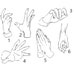 Stylized Hands Bundle 6 Designs 3 Sizes Line Art Drawing One Line ...