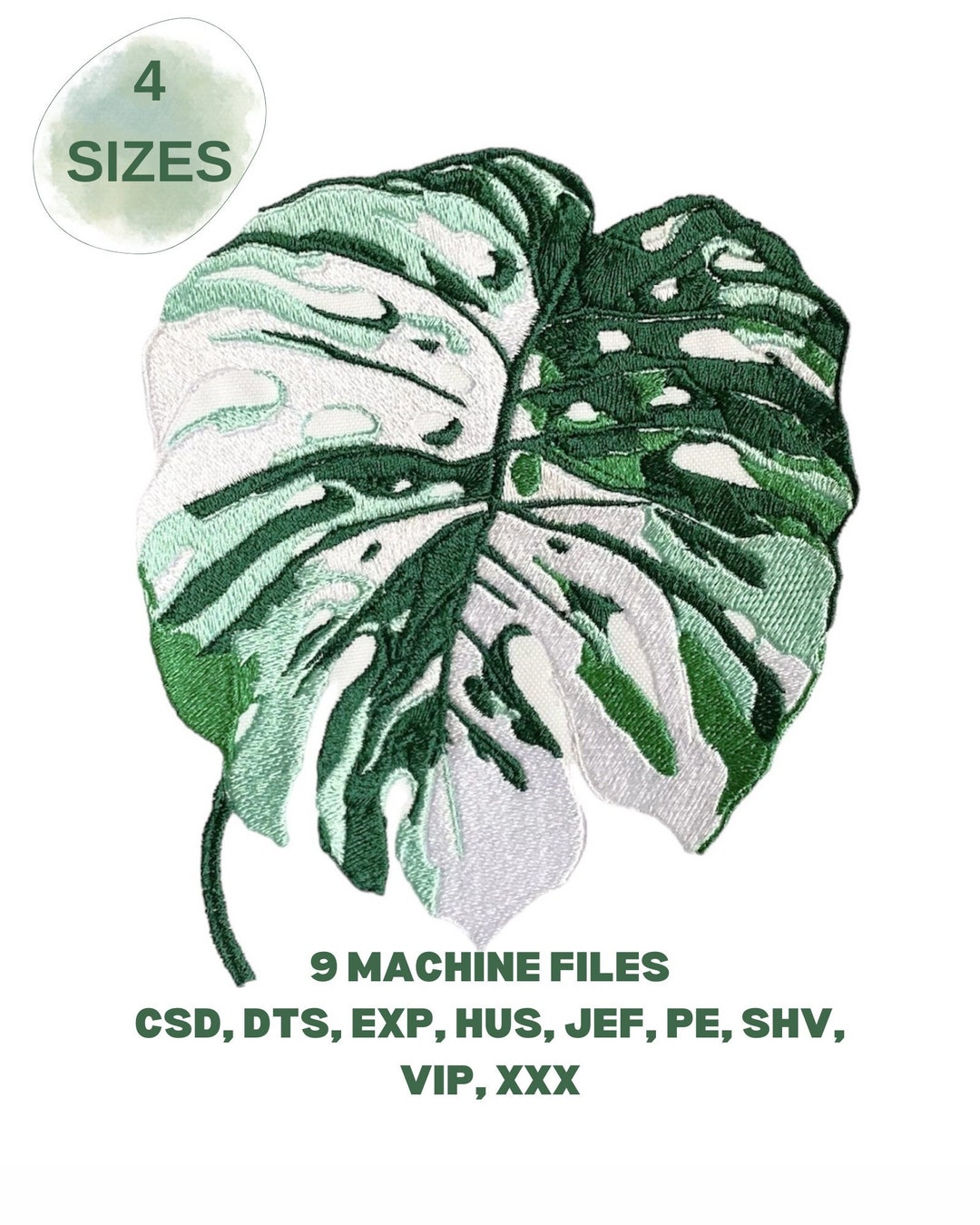 PLANTS Monstera Variegated Albo Embroidery Applique Digital Font ...
