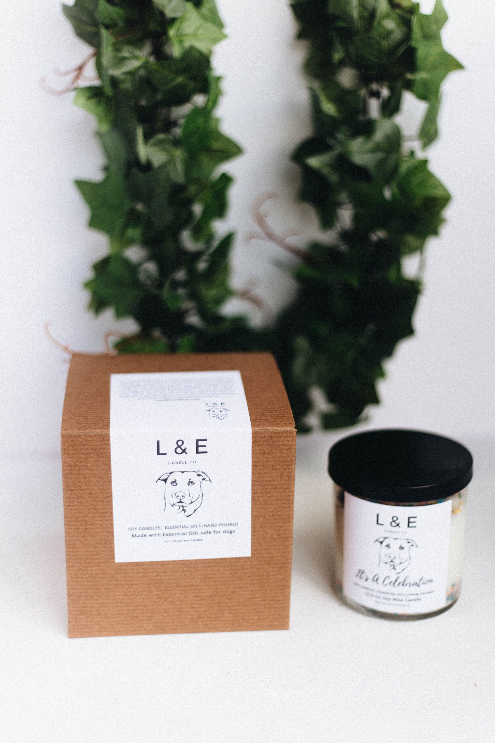 Pet Safe Its a Celebration Candle - Etsy