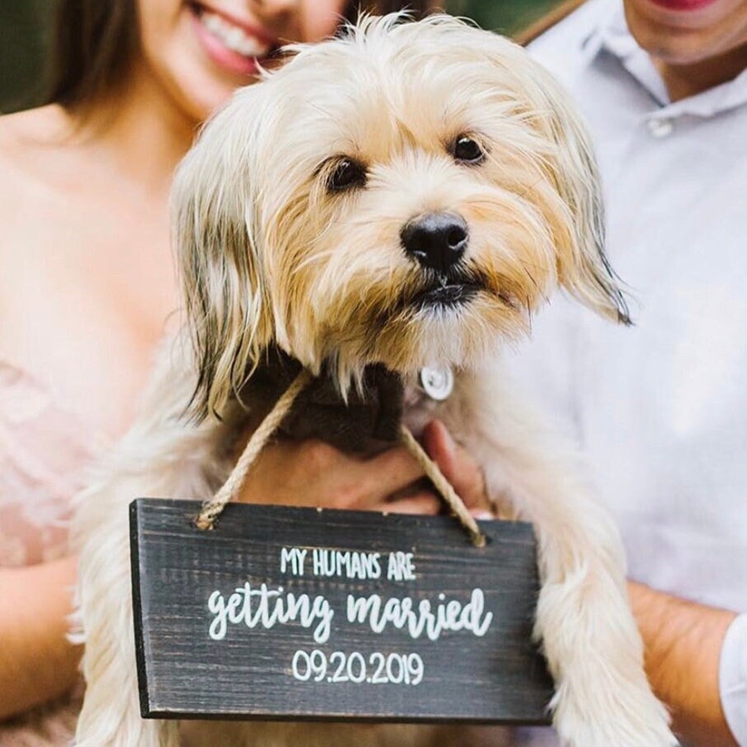 My Humans Are Getting Married Sign - Etsy