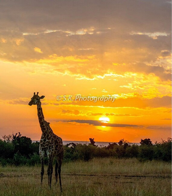 Sunrise in Kenya | Etsy