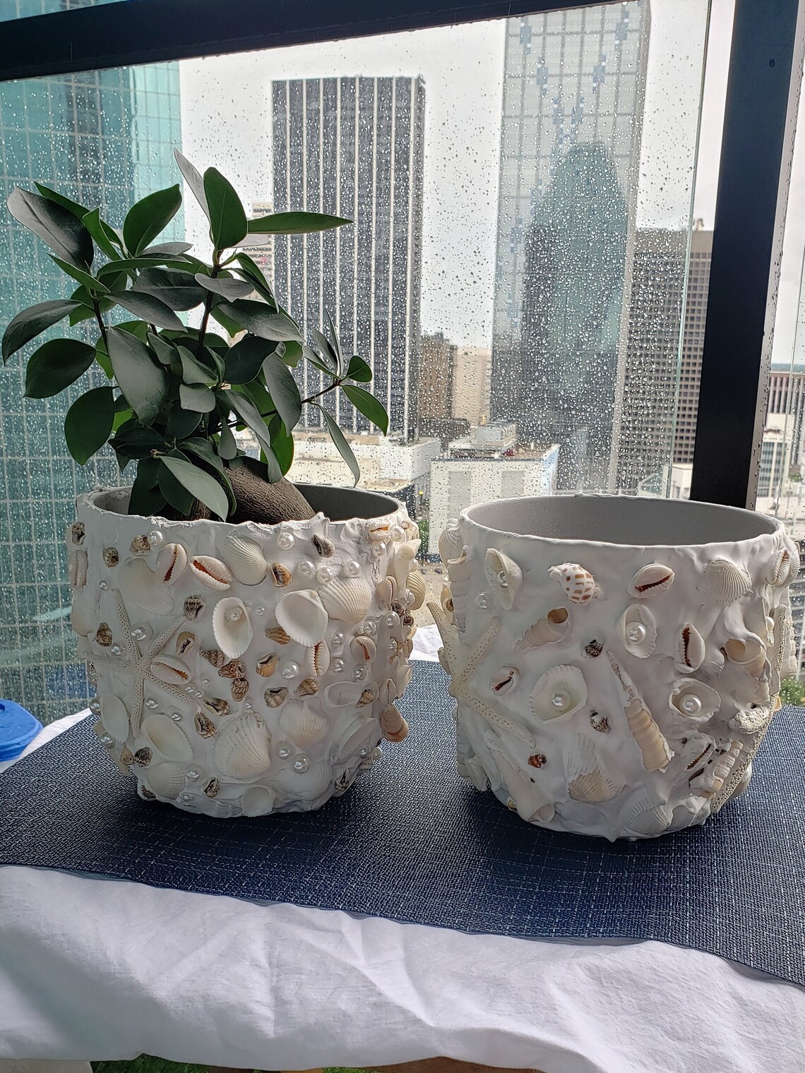 Seashell Planter|creamic Coastal Planter|home Decor|white Coastal ...