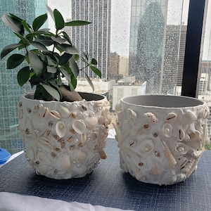 Seashell Planter|creamic Coastal Planter|home Decor|white Coastal ...