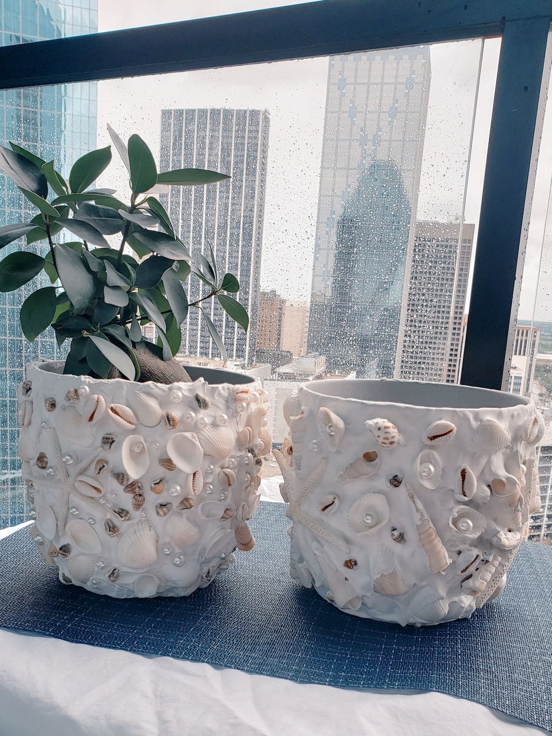 Seashell Planter|creamic Coastal Planter|home Decor|white Coastal ...