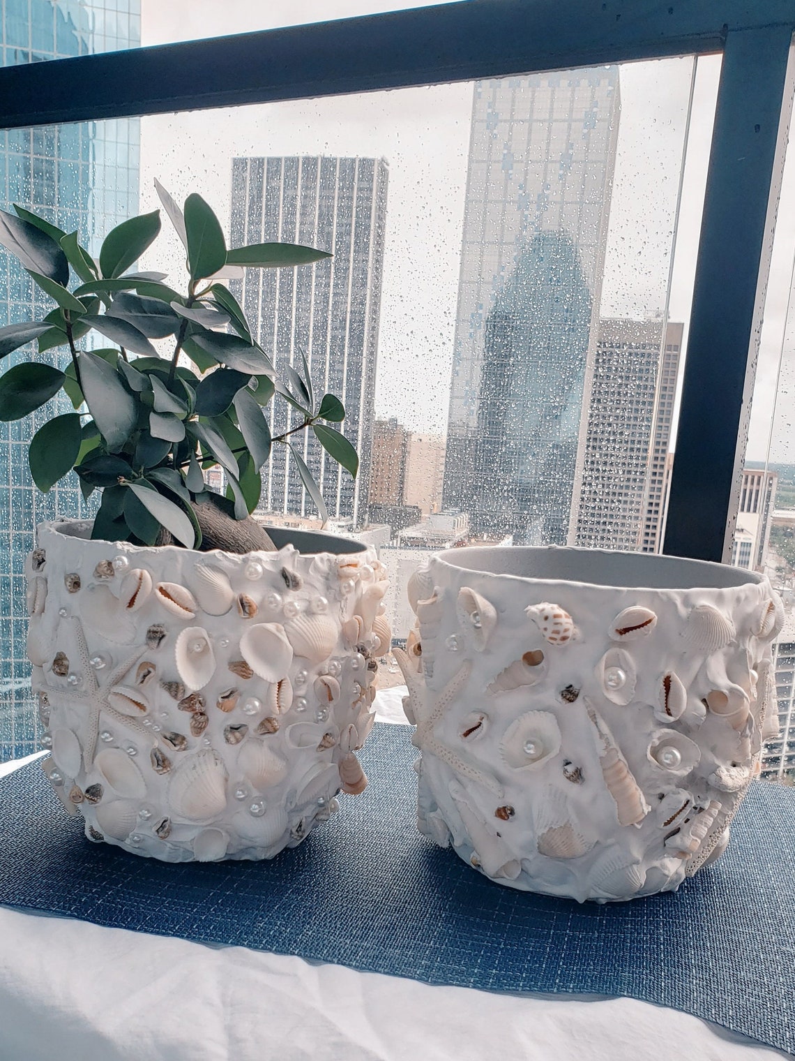 Seashell Planter|creamic Coastal Planter|home Decor|white Coastal ...