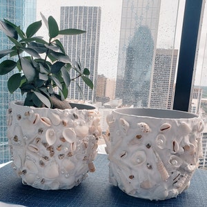 Seashell Planter|creamic Coastal Planter|home Decor|white Coastal ...
